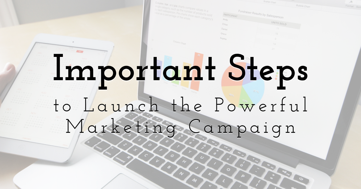 Important Steps to Launch the Powerful Marketing Campaign